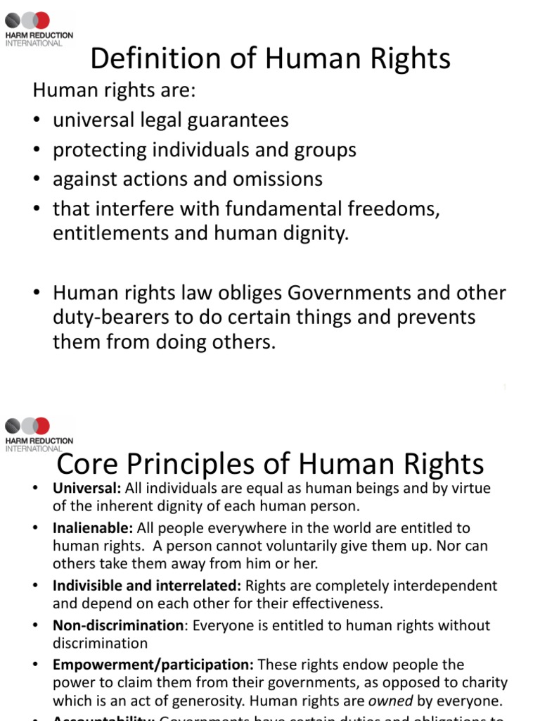 Human Rights Training Slides | PDF