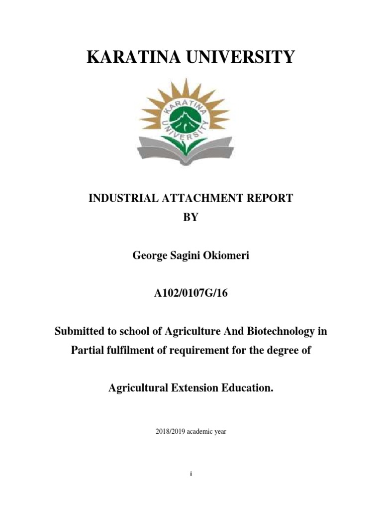 INDUSTRIAL ATTACHMENT REPORT Submitted T PDF | PDF