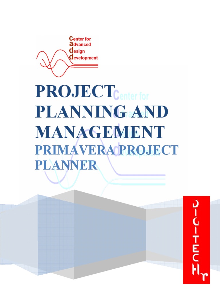 P3 Planning and Control Guide PDF | PDF