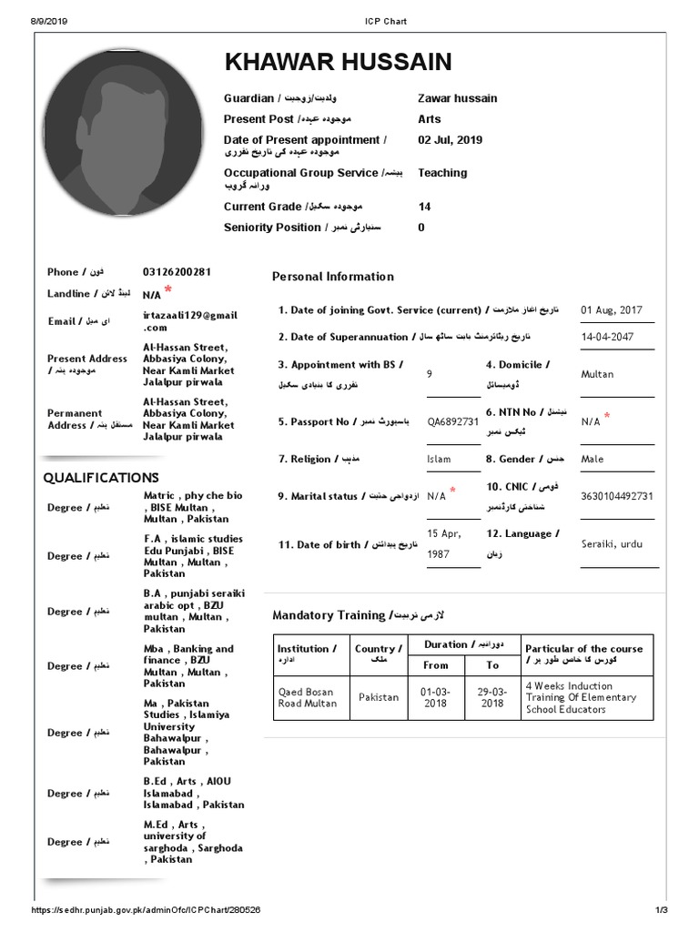 ICP Chart Overview for Educators | PDF