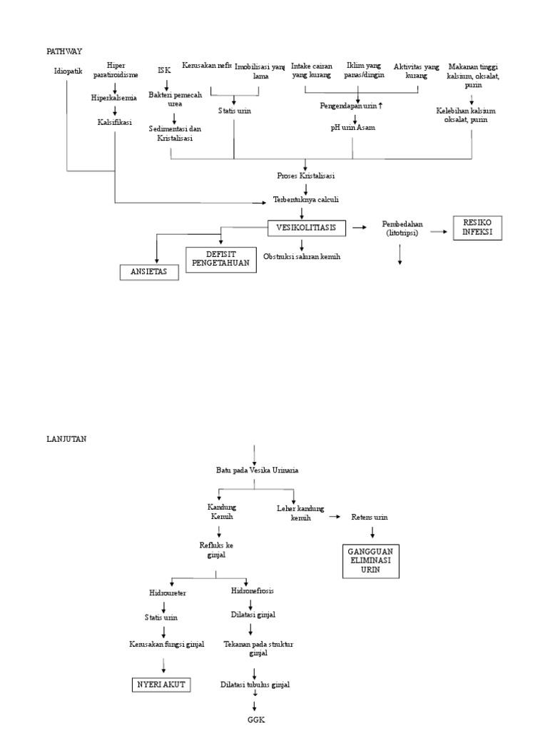 Pathway Urolithiasis Batu Buli Buli | PDF