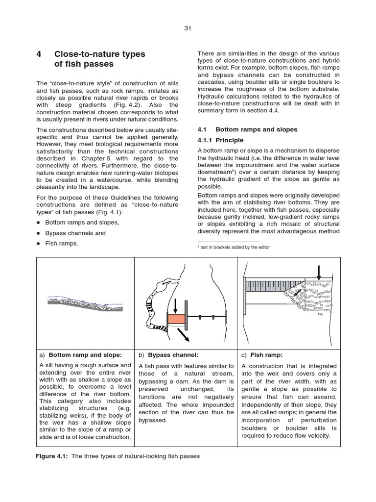 Part Ii - Fish Ladder Design | PDF