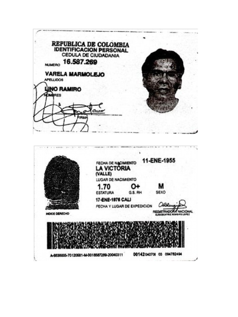 Cedula Ramiro Varela PDF | PDF