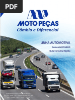 Vetor - Palhetas 2021 | PDF