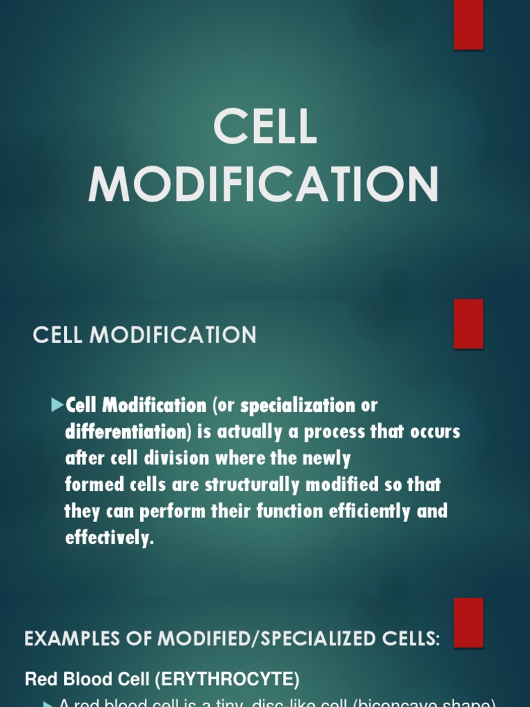 Cell Modification | PDF