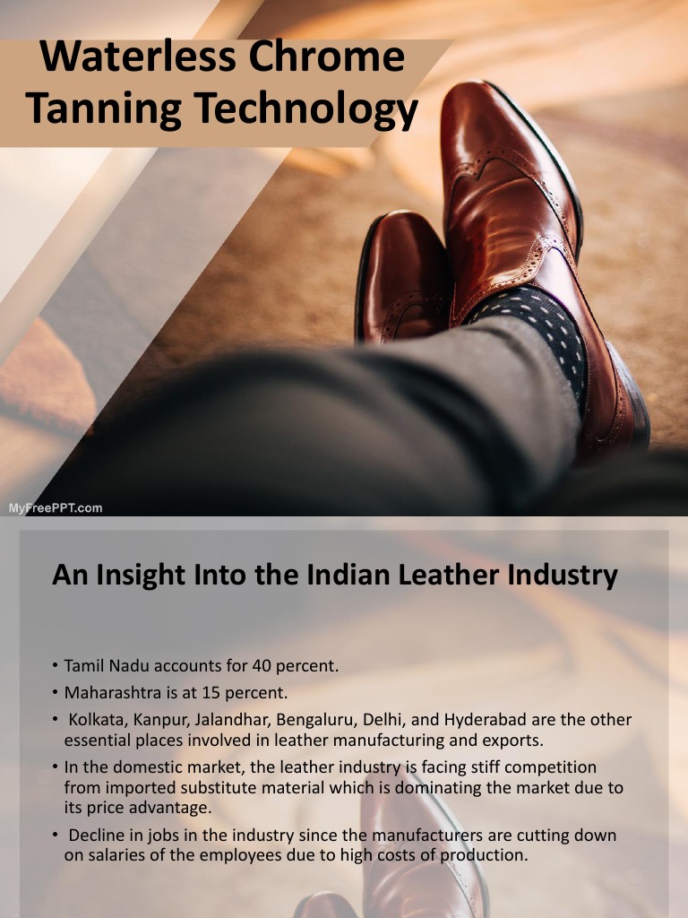 Waterless Chrome Tanning in India | PDF