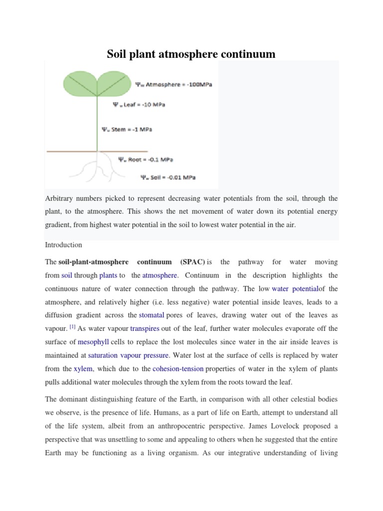 Soil Plant Atmosphere Continum | PDF