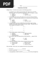 Anatomical Position Worksheet | PDF | Anatomical Terms Of Location ...