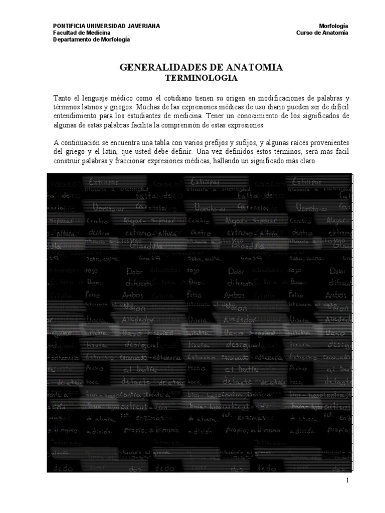 Taller Terminología Anatomía | PDF