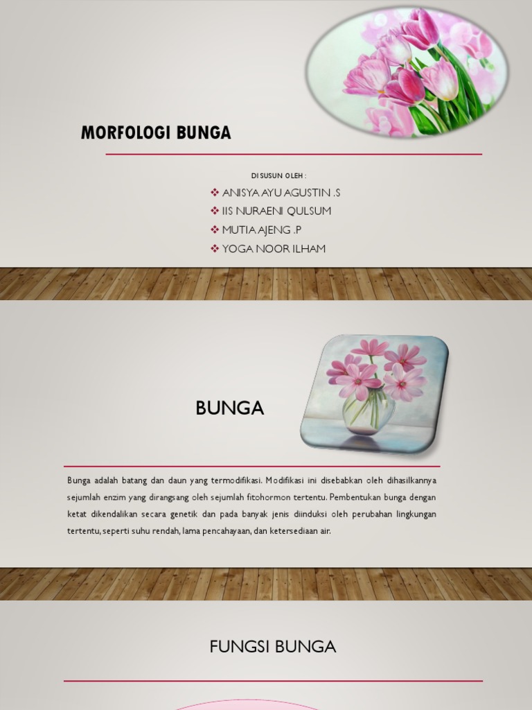 Morfologi dan Struktur Bunga Sempurna | PDF
