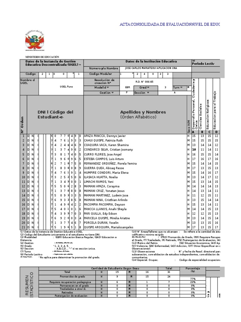 RPT Formato Oficial | PDF