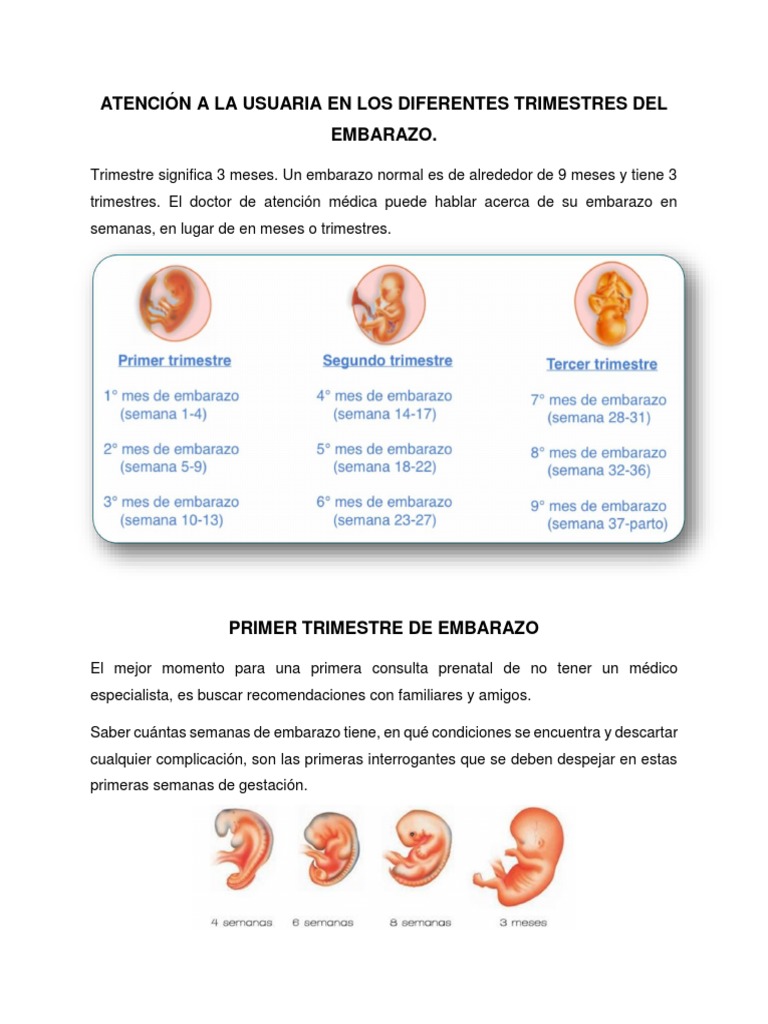 Atención A La Usuaria en Los Diferentes Trimestres Del Embarazo | PDF ...