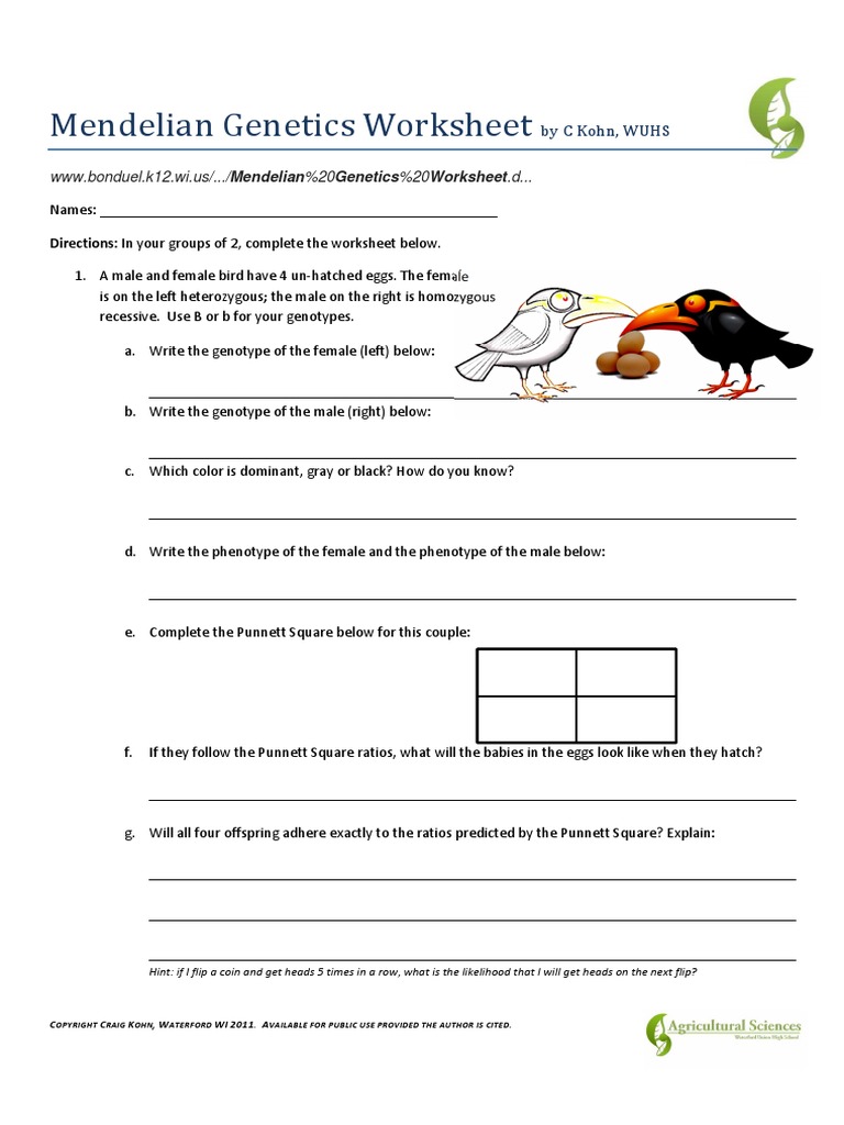 Mendelian Genetics Worksheet Activities | PDF | Dominance (Genetics ...