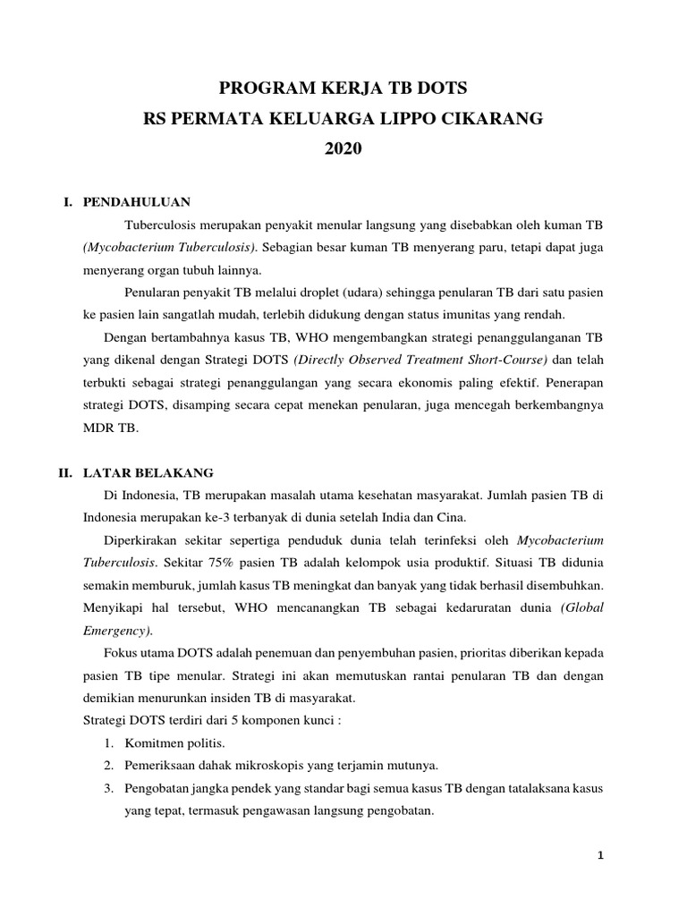 Program Kerja Tim TB Dots 2020 | PDF