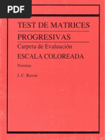 Protocolo de Prueba Raven: Formato y Diagnóstico | PDF