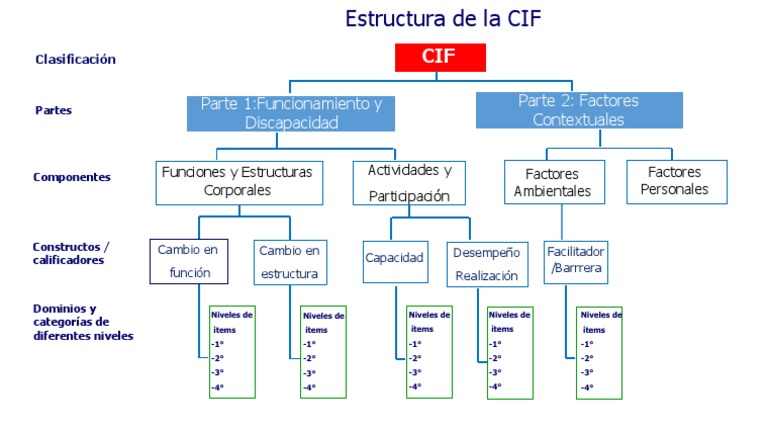 Estructura CIF PDF | PDF