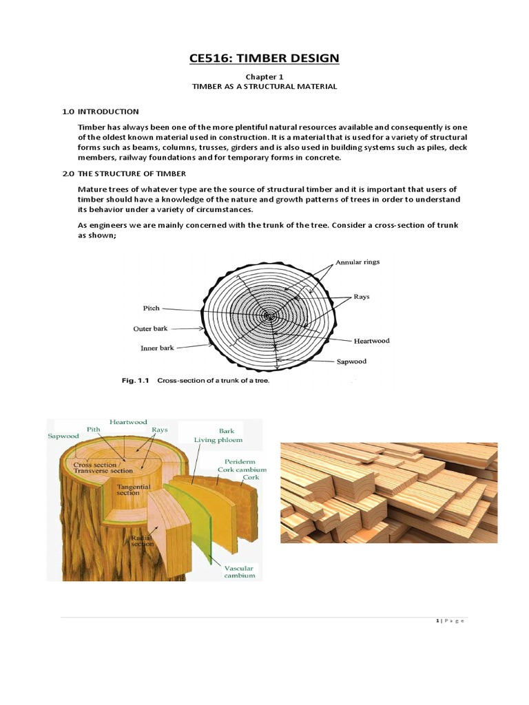 Timber Design Module 1 | PDF