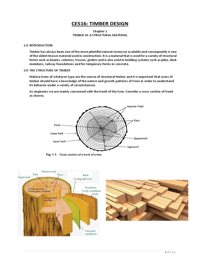 Timber Design Module | PDF | Beam (Structure) | Bending