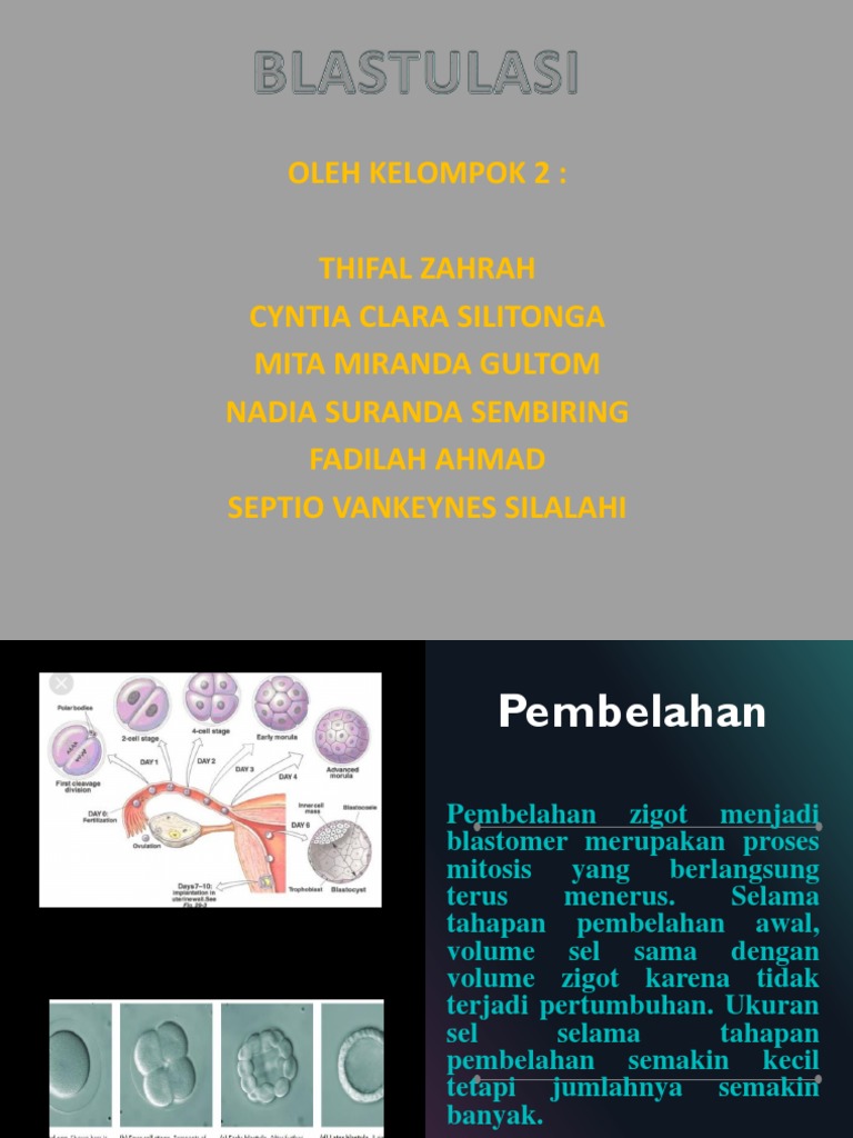 Blastula Kelompok 2 - 2 | PDF | Sains & Matematika