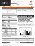 BDO Bank-Statement | PDF