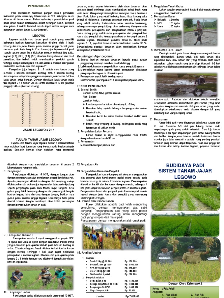 Folder Budidaya Padi Sistim Jajar Legowo | PDF