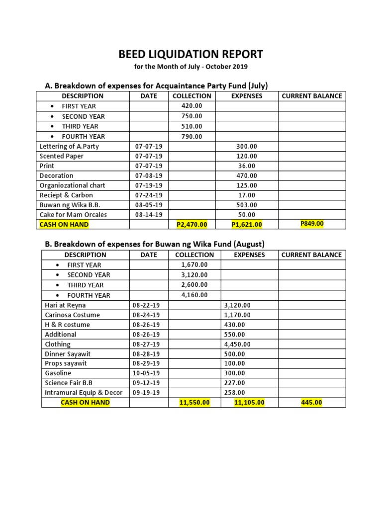 Beed Liquidation Report | PDF