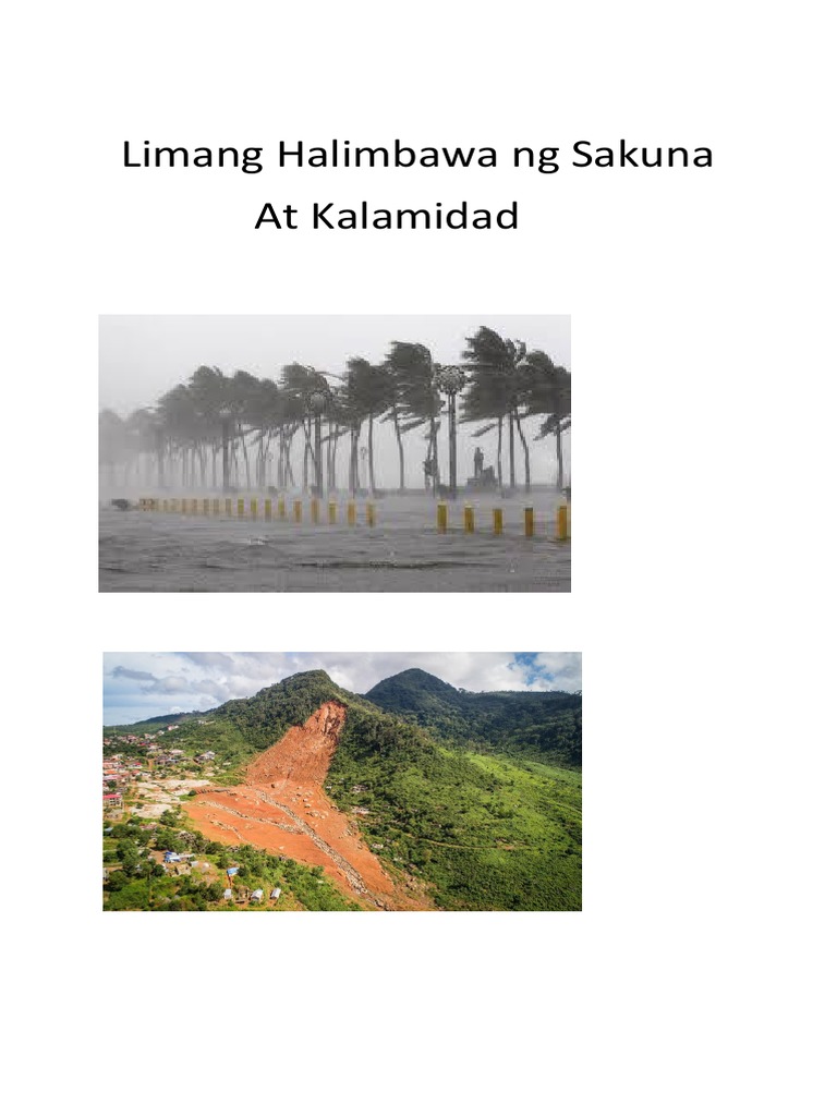 Limang Halimbawa NG Sakuna | PDF