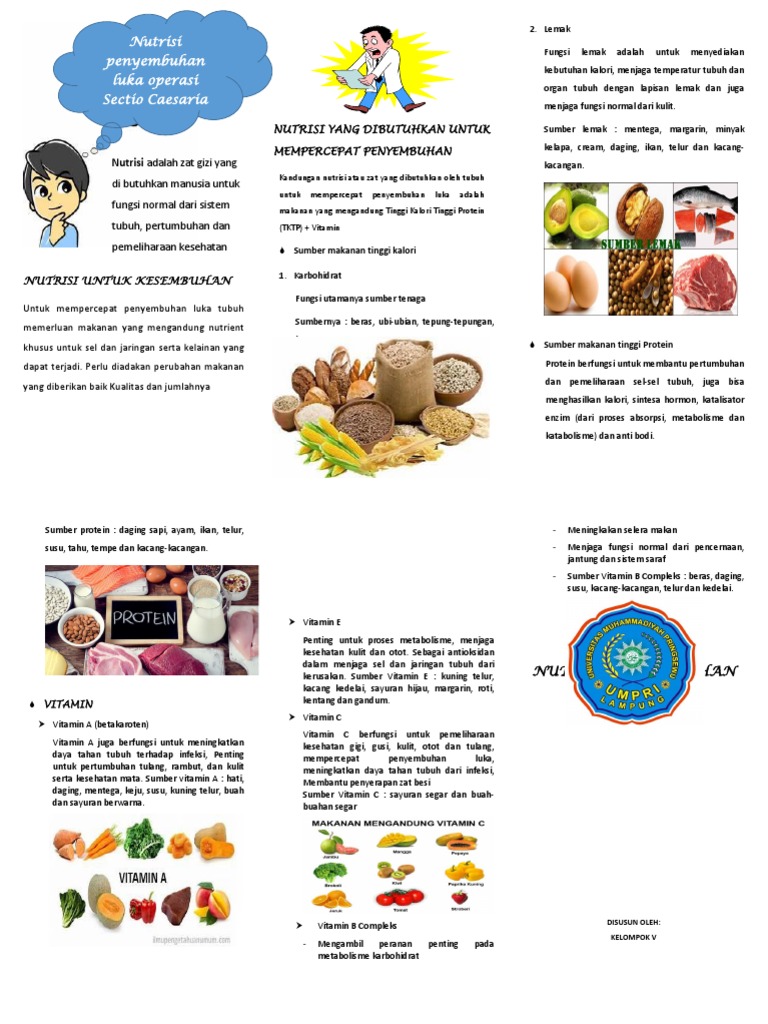 LEAFLET Nutrisi Post SC | PDF