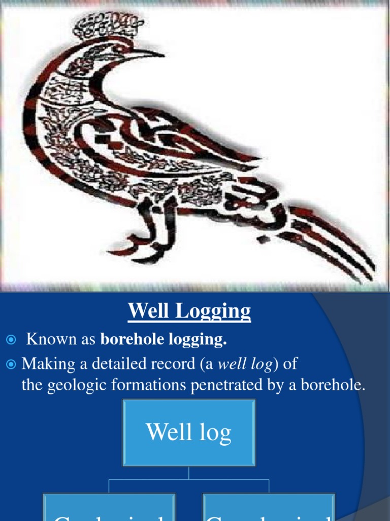 Well Logging | PDF