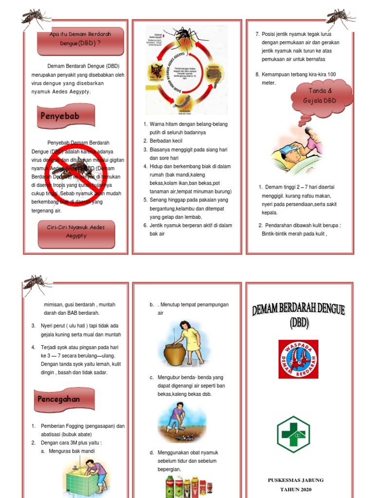Leaflet DBD | PDF