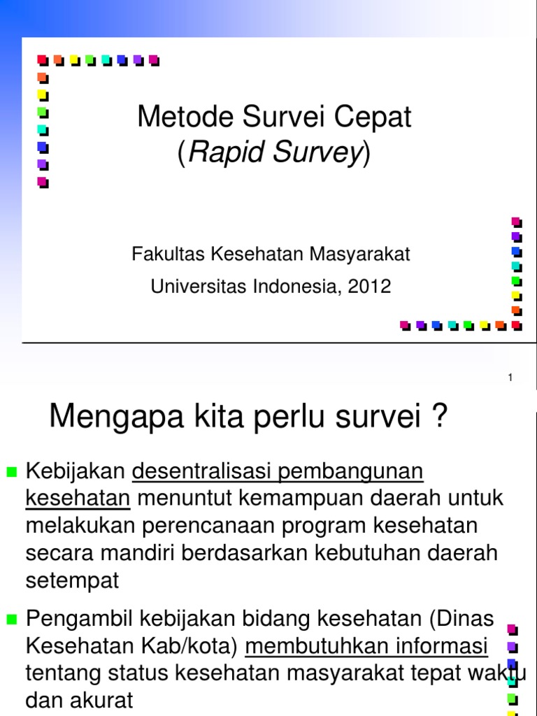 4.rapid - Survey | PDF