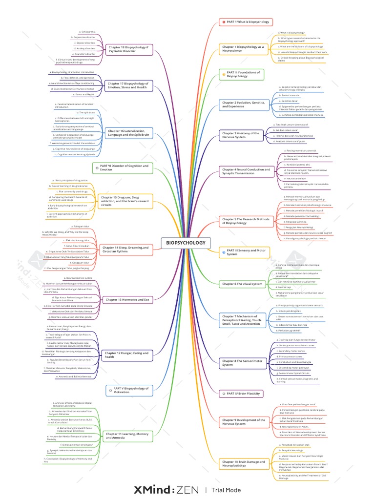 Mind Map Biopsychology | PDF