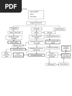 Pathway Anemia | PDF