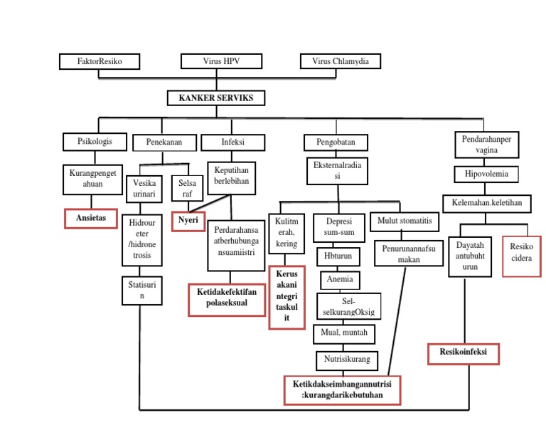 Pathways Kanker Serviks | PDF