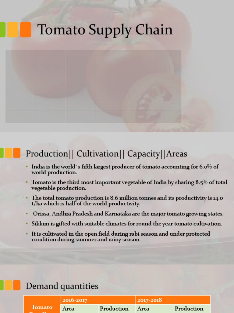 Tomato Supply Chain | PDF