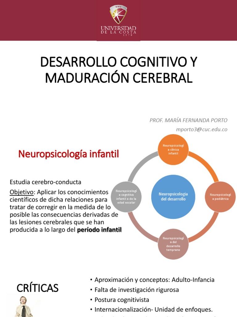 Desarrollo Cognitivo Y Maduración Cerebral Pdf Pdf