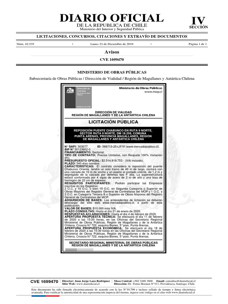 Publicacion Diario Oficial | PDF