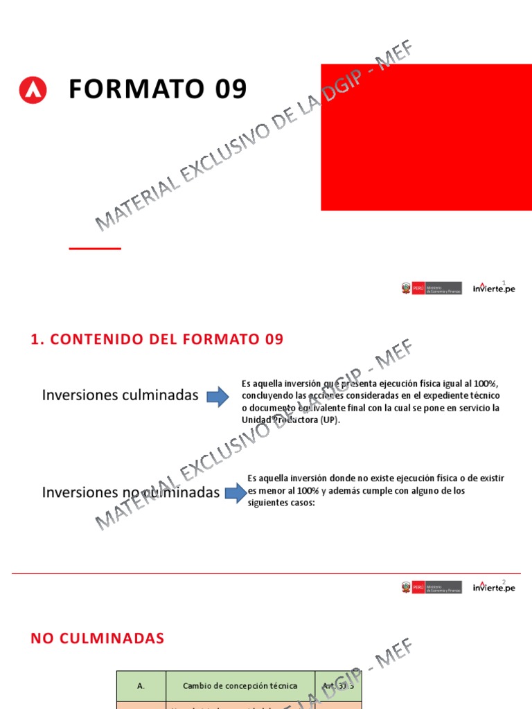 Guia Par El Formato 9 | PDF