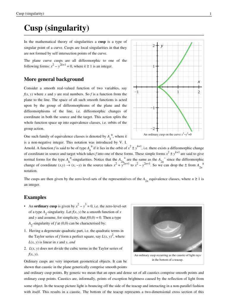 Cusp | PDF | Mathematical Concepts | Geometry