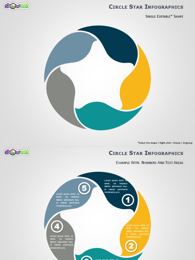Circle Star Infographics PowerPoint | PDF