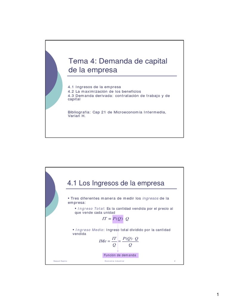 Demanda Derivada Factor Capital PDF | PDF