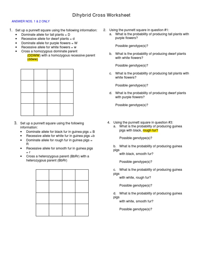 Dihybrid Cross Worksheet | PDF | Zygosity | Dominance (Genetics)