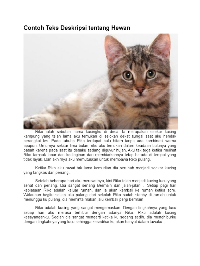 Contoh Teks Deskripsi Tentang Hewan | PDF