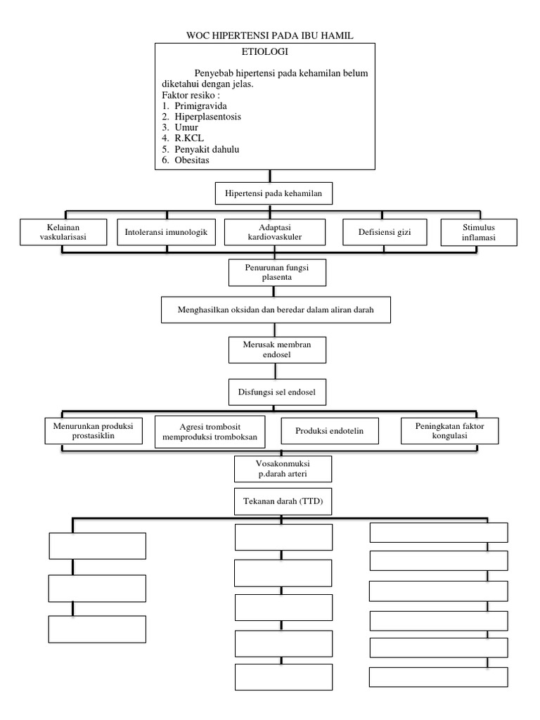 Woc Hipertensi Pada Ibu Hamil | PDF