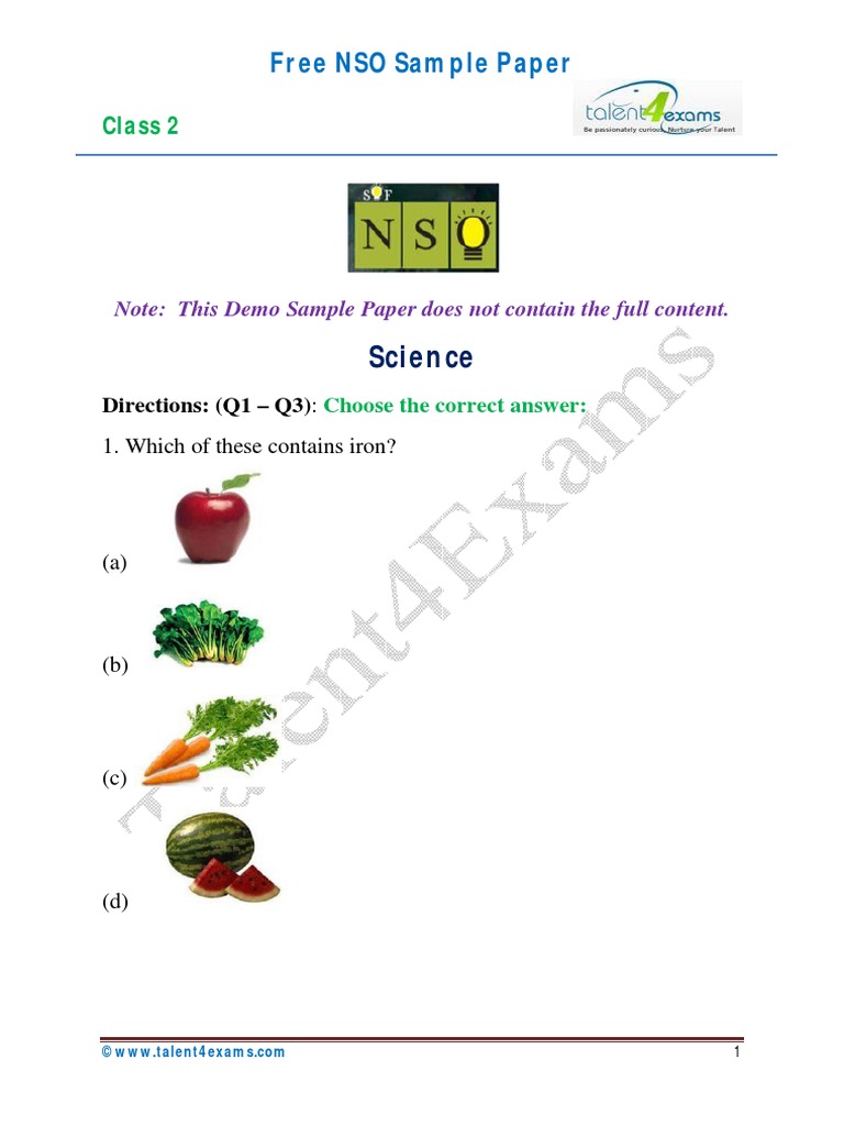 Class 2 Nso Paper | PDF | Sports