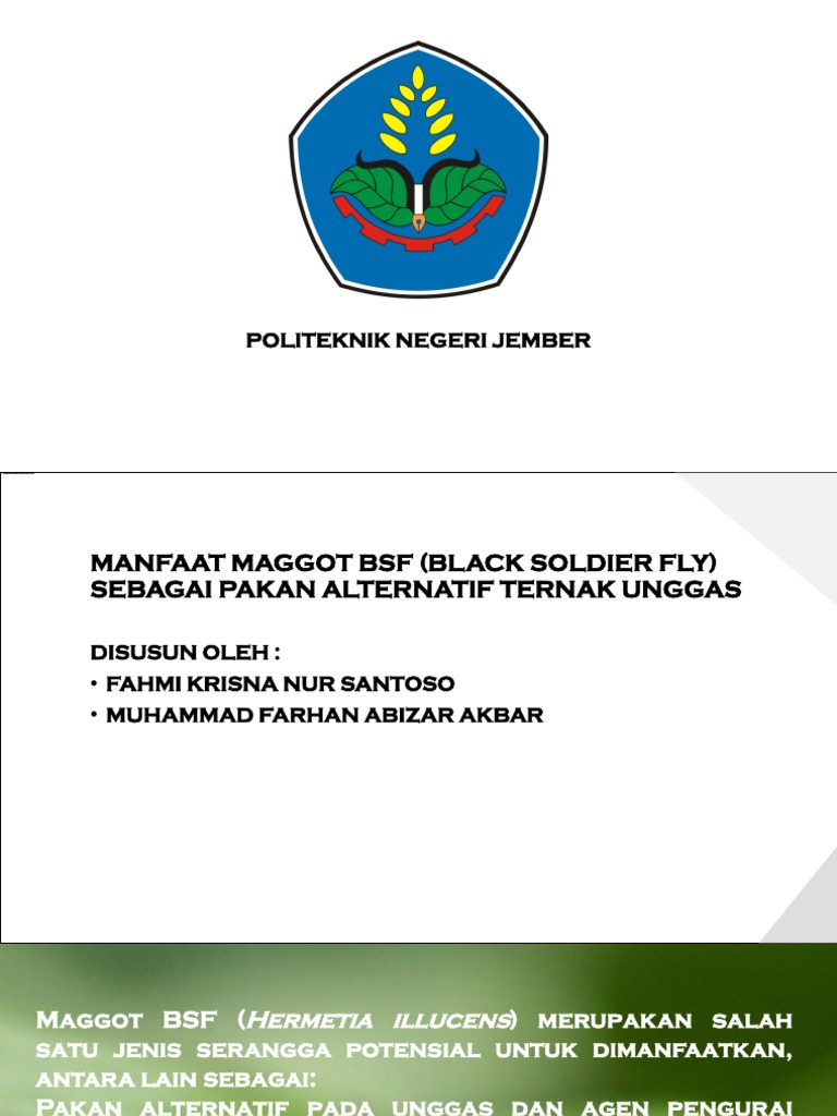 PowerPoint BSF Fix | PDF