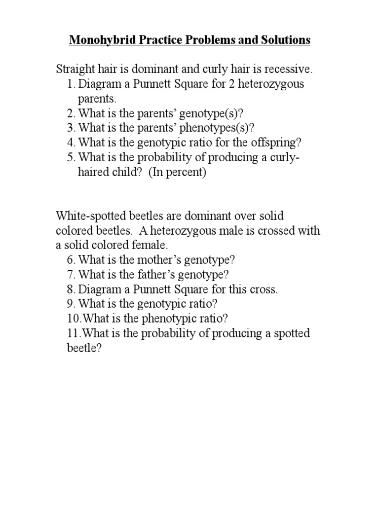 Monohybrid Practice Problems Overhead | PDF