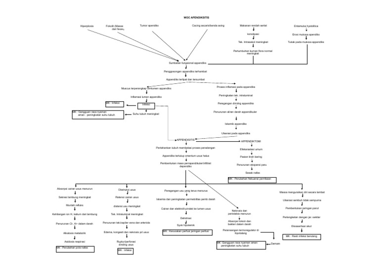 Woc Apendisitis | PDF