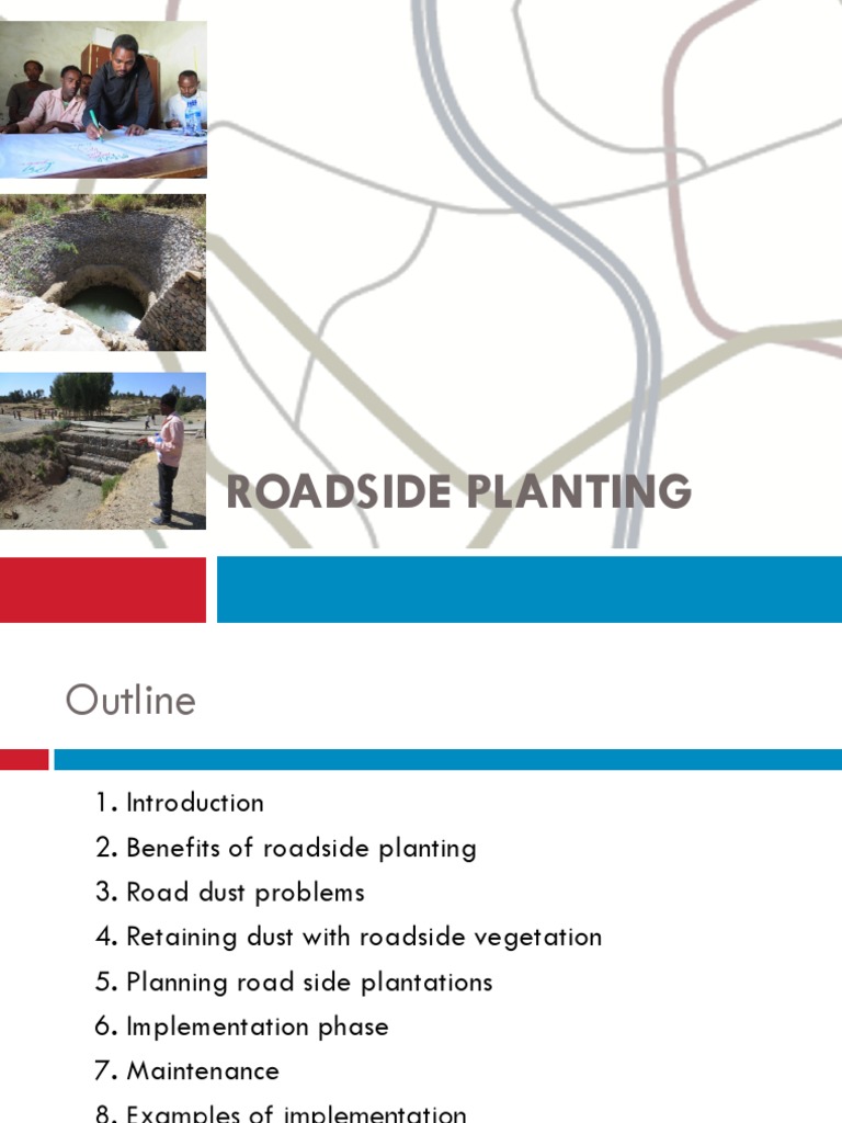 Roadside Tree Planting - Marta Agujetas - MM | PDF