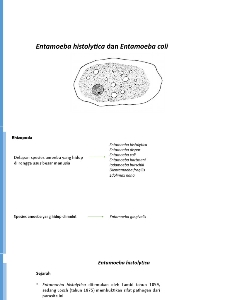 2.E. Histolytica, E. Coli-1 | PDF